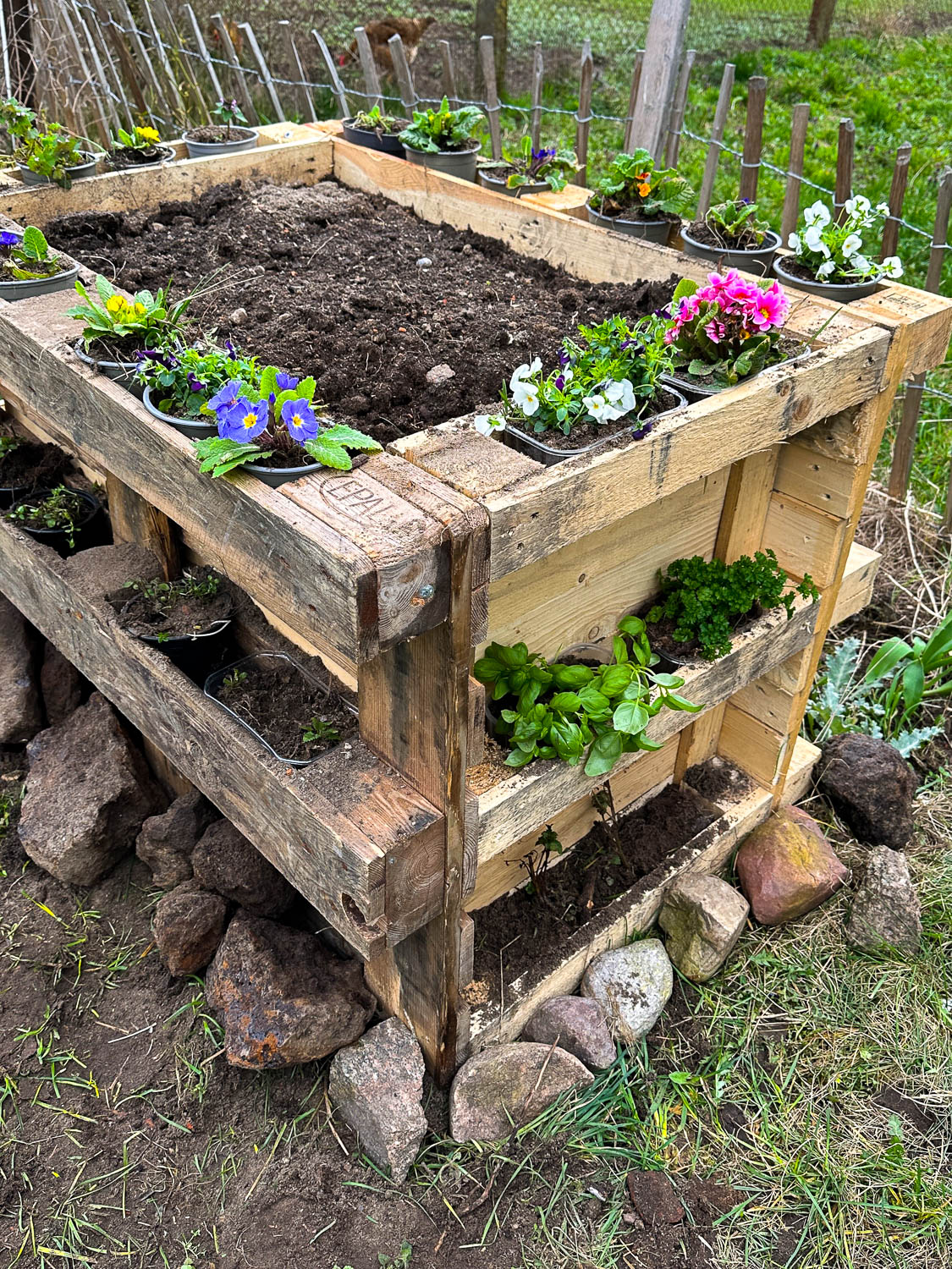 Hochbeet bauen aus Paletten - Funkelfaden